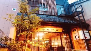 The 10 Best Traditional Ryokans in Nara with Private Onsen [2025]